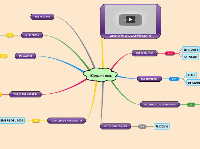 EXAMEN FINAL - Mind Map